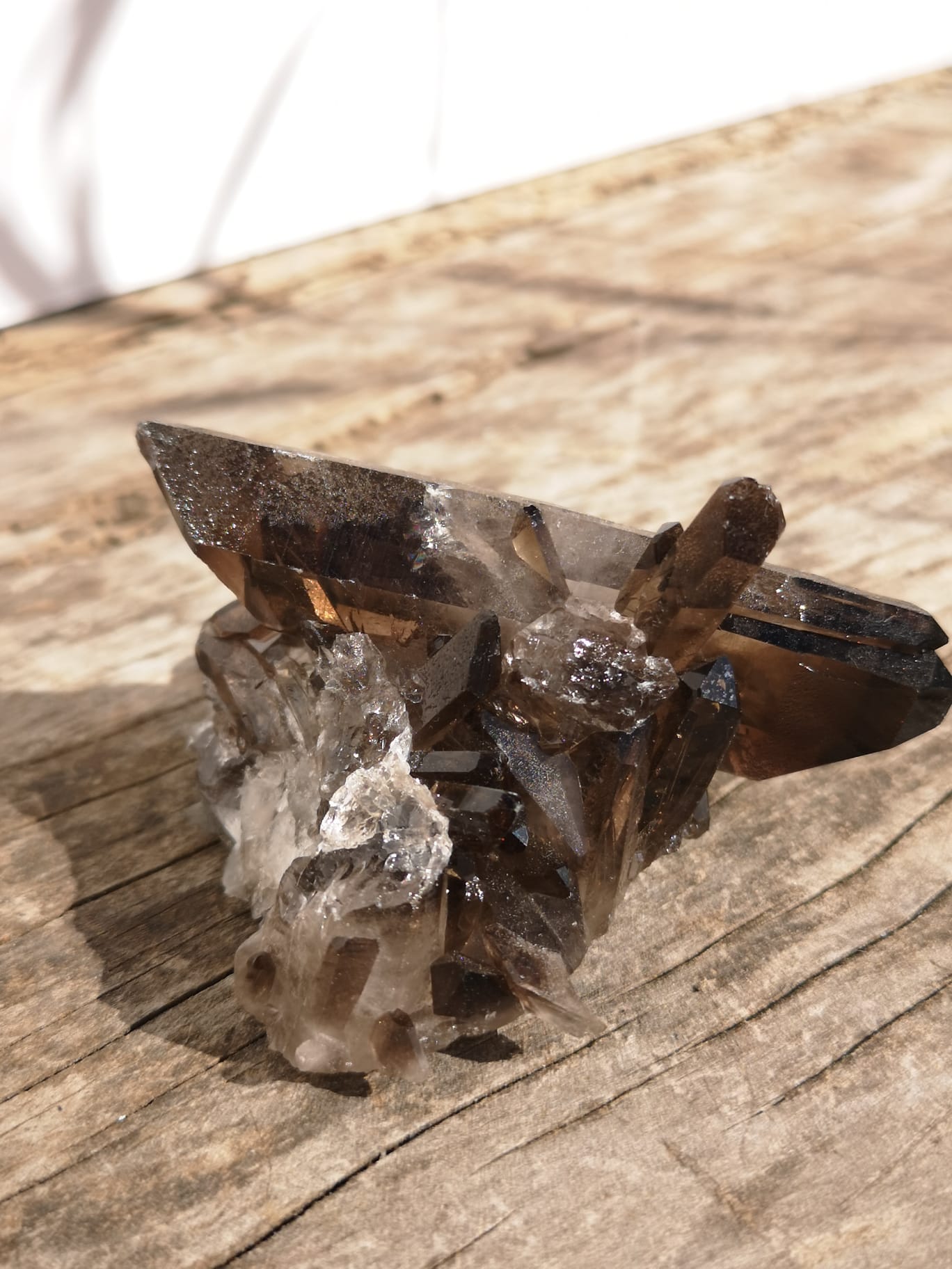 Drusa de Quartzo Fumado - Pura Terra